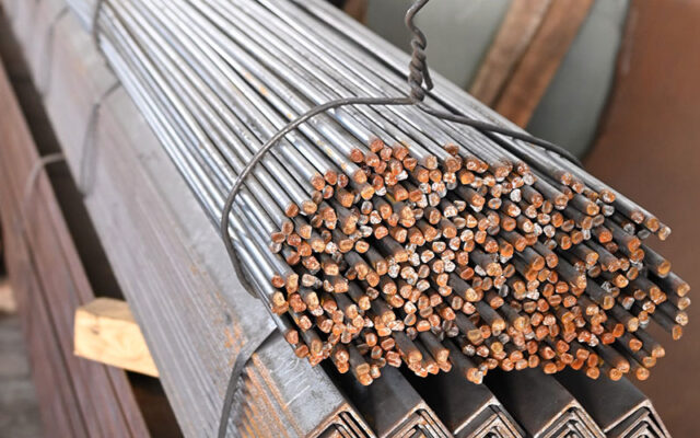 Profile Celiku - Xhakonta